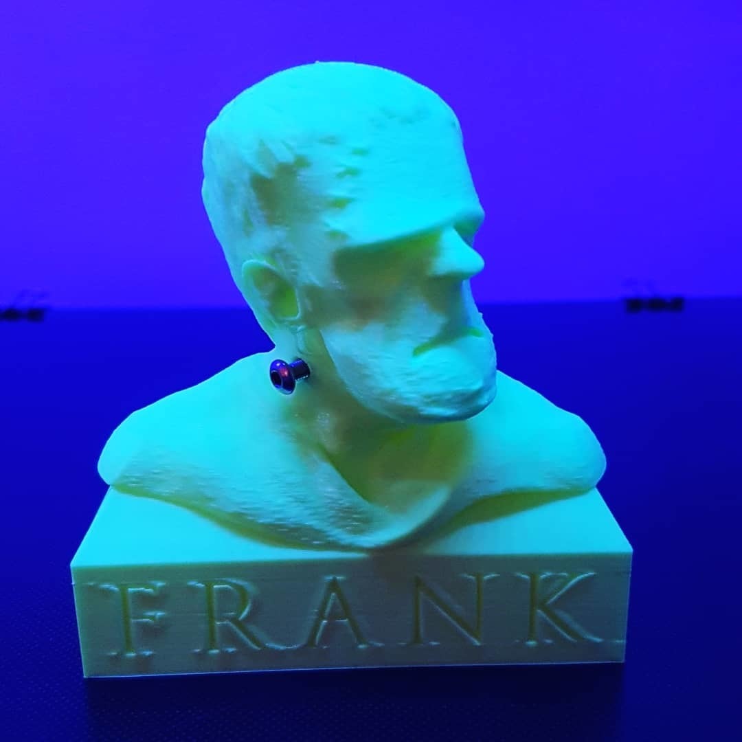 3D printer Frank (Frankenstein) Bust • made with Creality cr10s・Cults