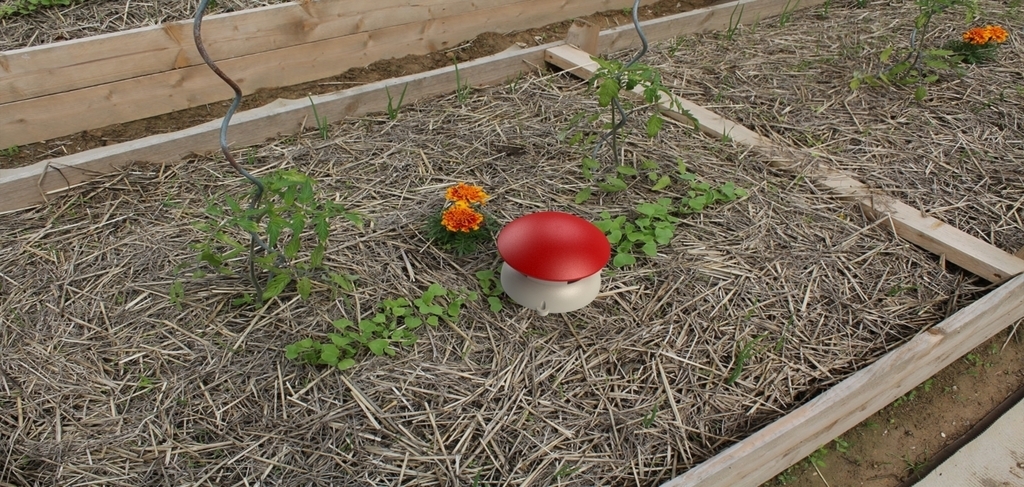 Free STL file Mushroom slug trap 🍄・3D printing template to download・Cults