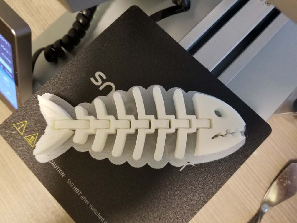 3D printing Fish Fossilz・Cults