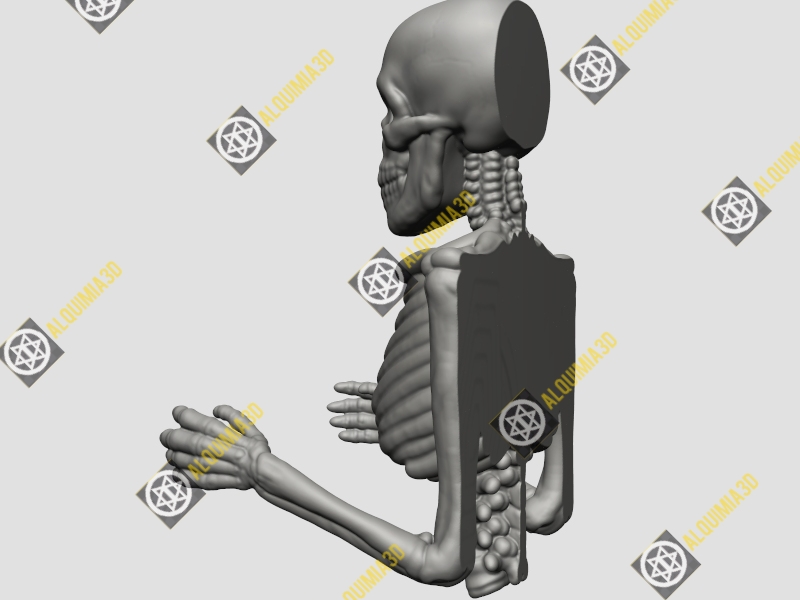 💀 Skeleton holder paper・ OBJ File for ・Cults