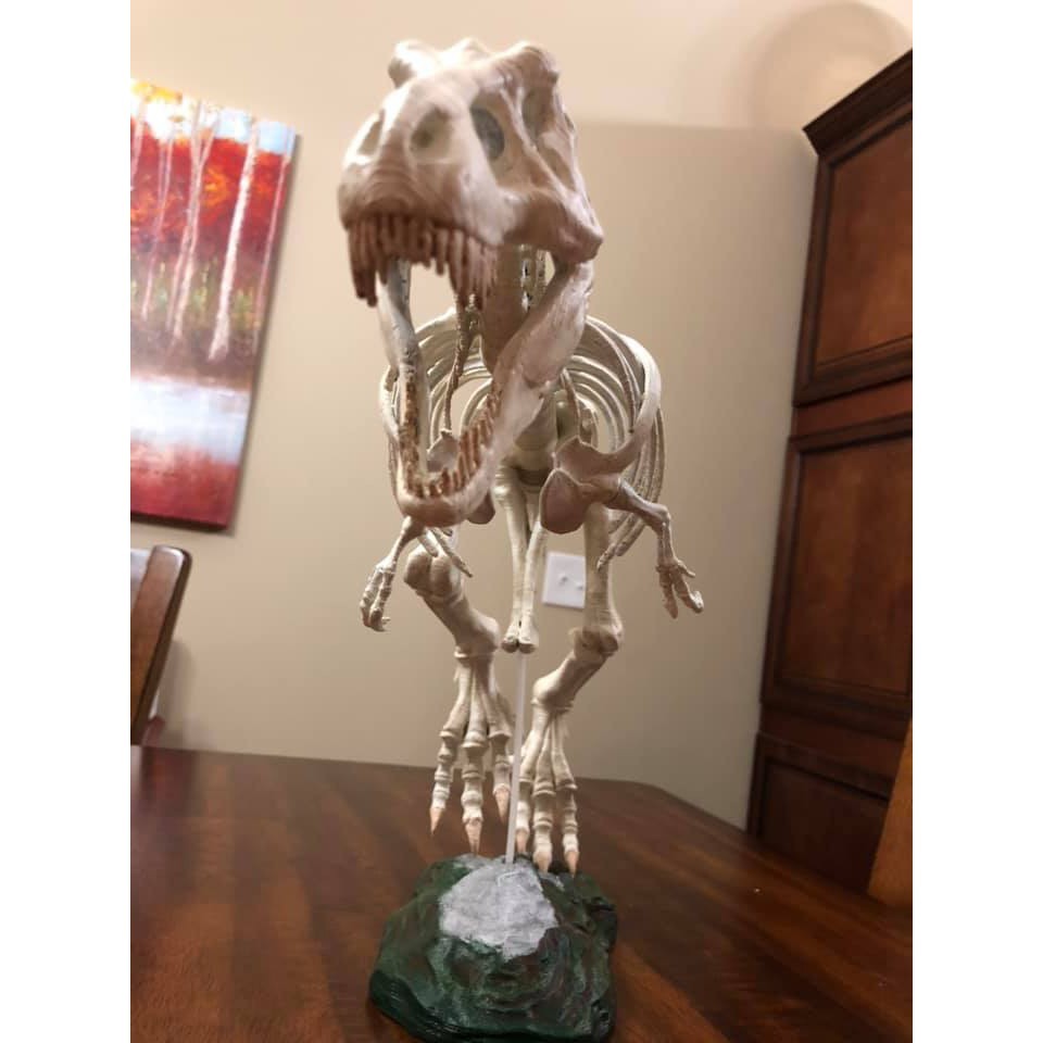 3D printed T-Rex Skeleton • made with QIDI X-ONE2・Cults