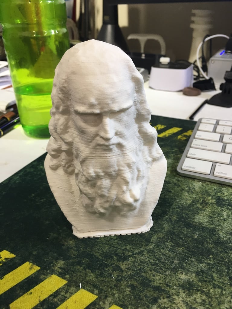 3D printing Leonardo Da Vinci Bust 3D Scan・Cults