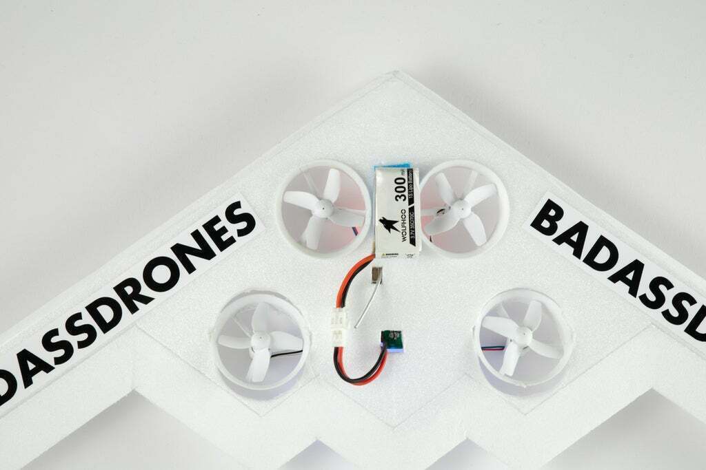 Free 3D file TINY WING - B2 SPIRIT 🪶 ・3D printer design to download・Cults