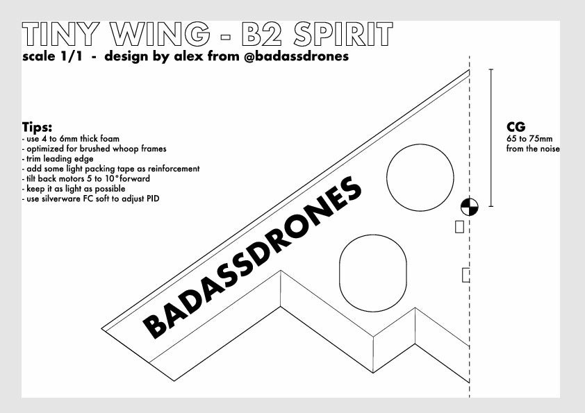 Free 3D file TINY WING - B2 SPIRIT 🪶 ・3D printer design to download・Cults