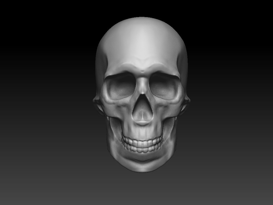 Free STL file Skull speed sculpt 💀 ・3D printer model to download・Cults