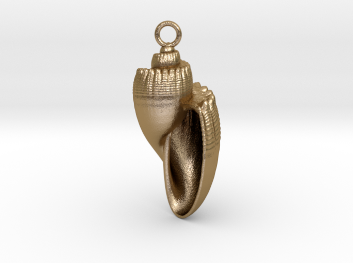 3D file Shell Pendant 🐚・3D printable model to download・Cults