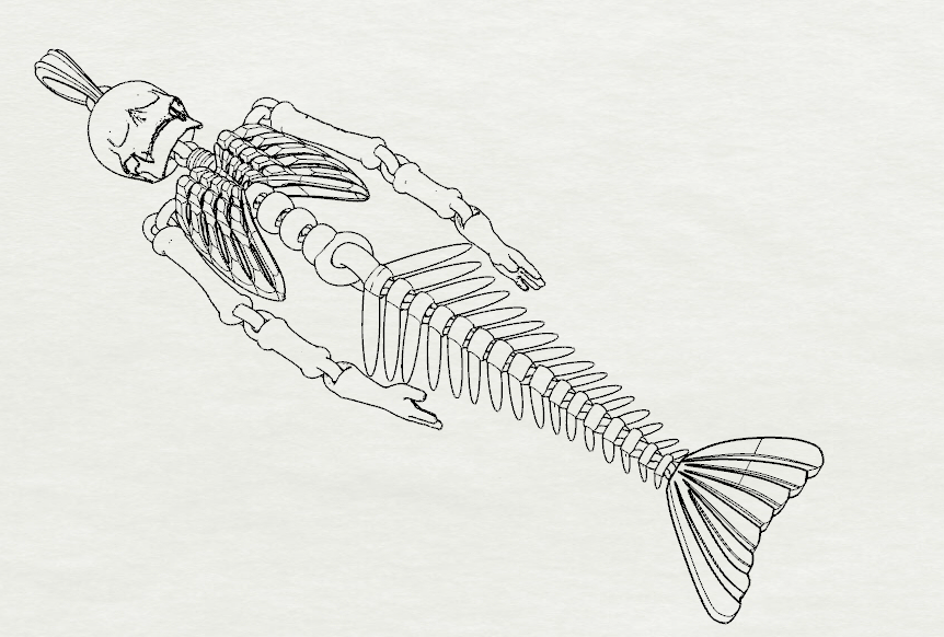 🧜‍♀️ mermaid skeleton・ STL File for ・Cults