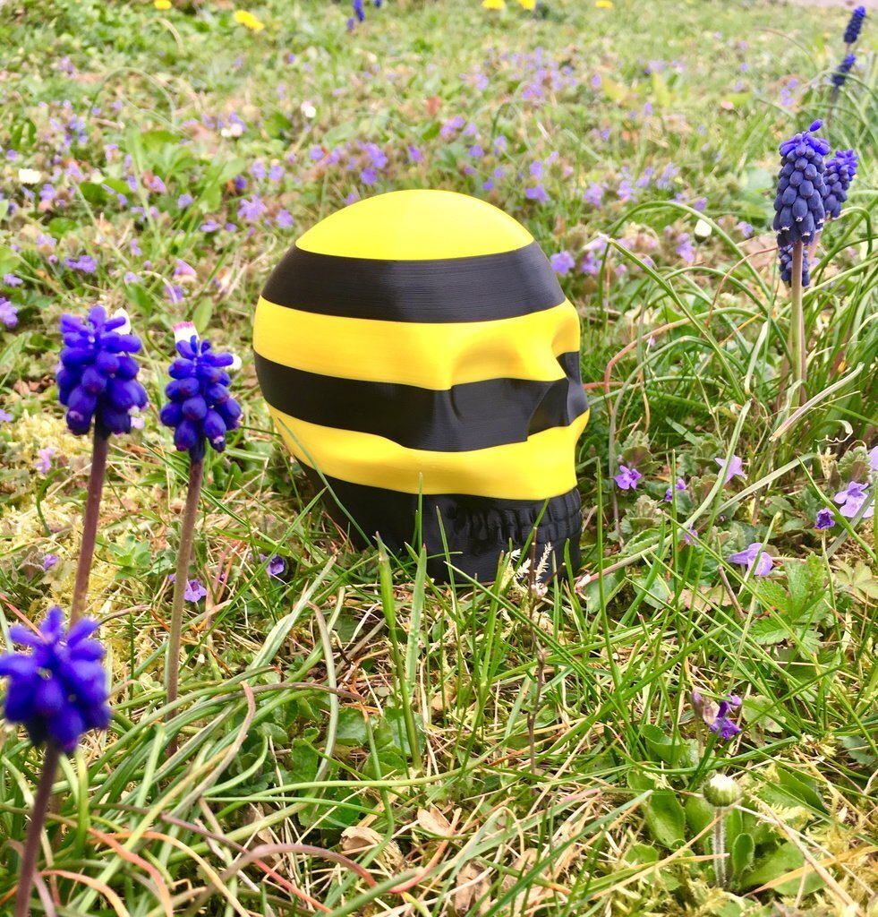 3D print Riley the printable skull・Cults