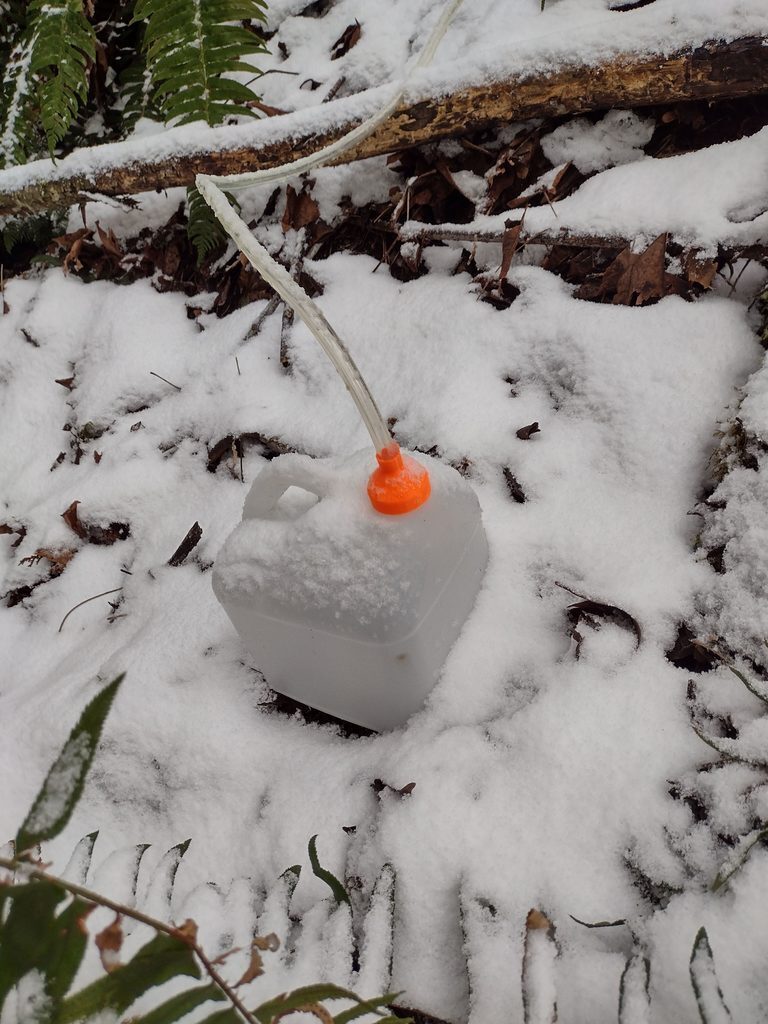 🍁 Maple Sap Collecting - 5/16 Hose to 1 Gallon Jug・Free 3D File for ・Cults