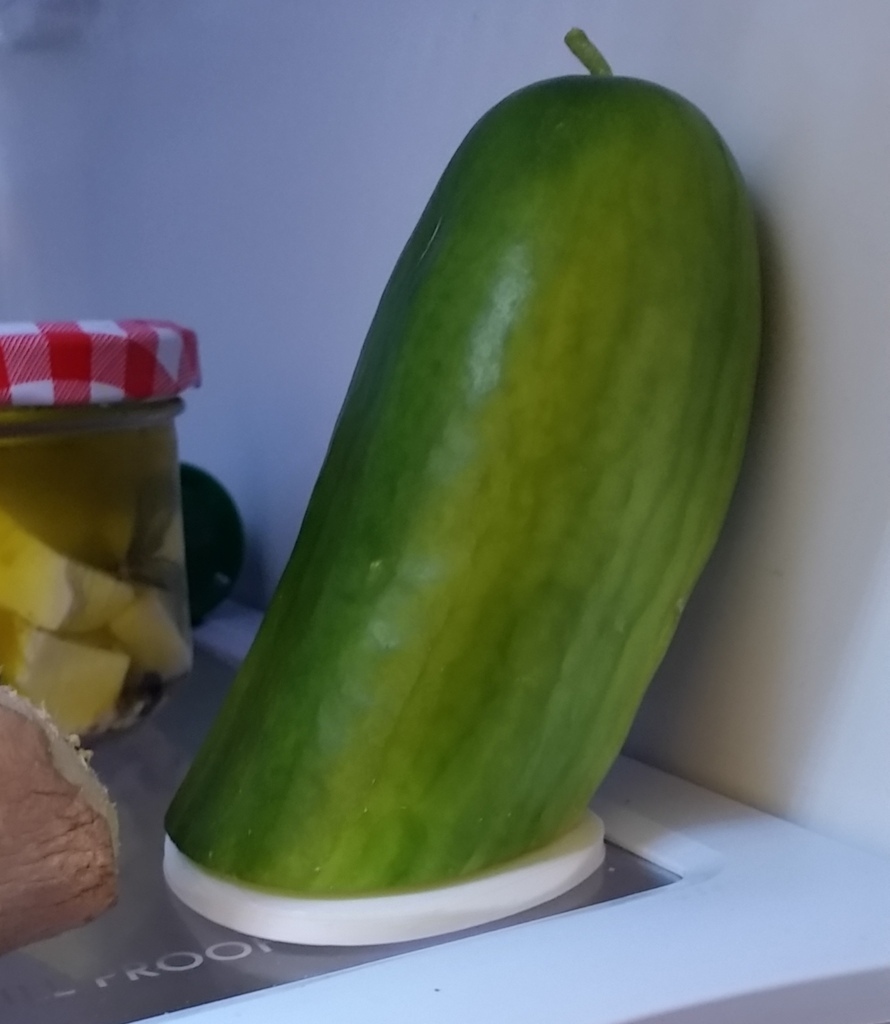 Archivo 3D gratuito Curcubadora. Almacene los recortes de curcubit ...