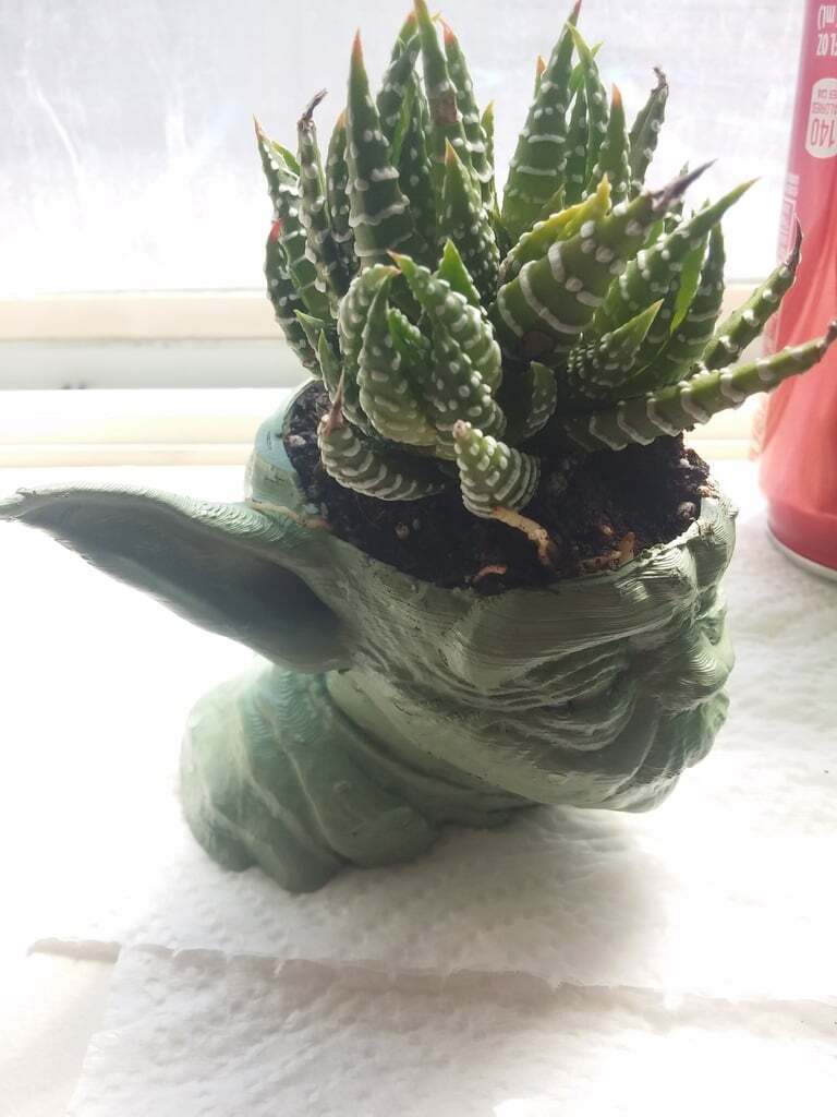 3D printed Yoda Bowl・Cults