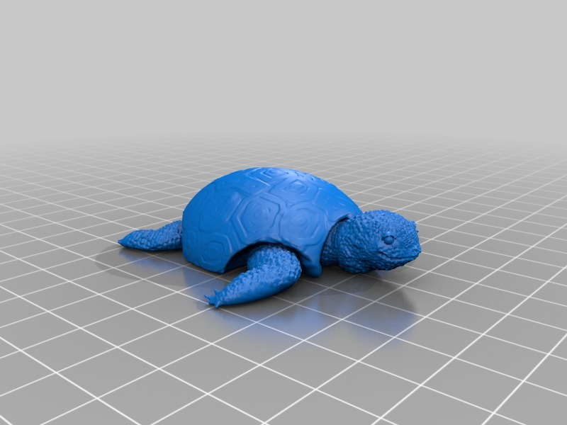 Free 3D file Tortoise 🎨 ・3D printer design to download・Cults