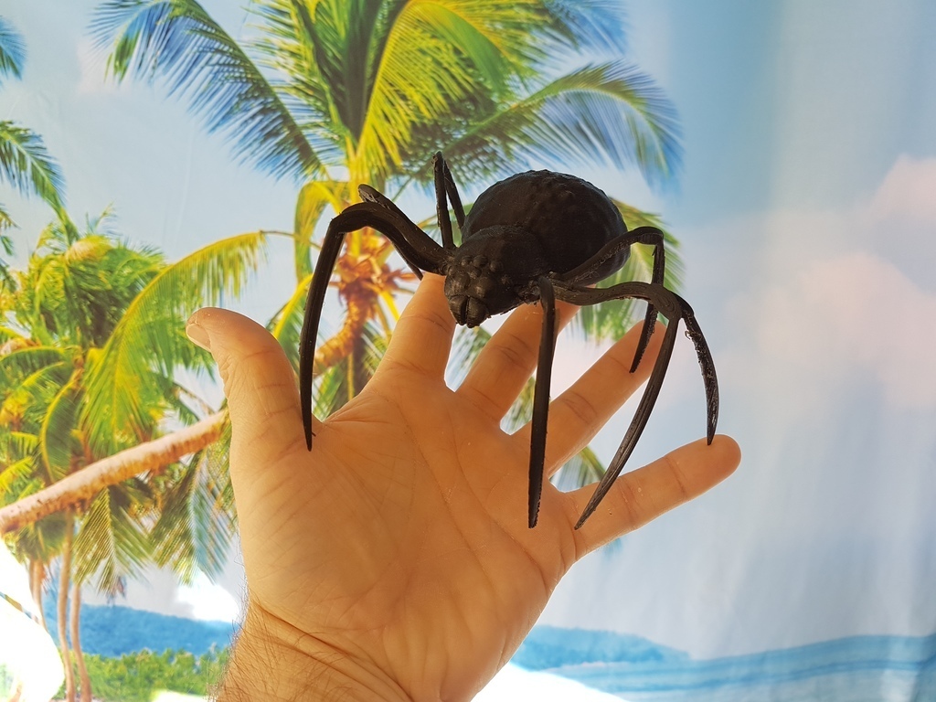 Free 3D file Spider ( BORIS THE HORRIBLE ) 🕷️ ・3D printer model to ...