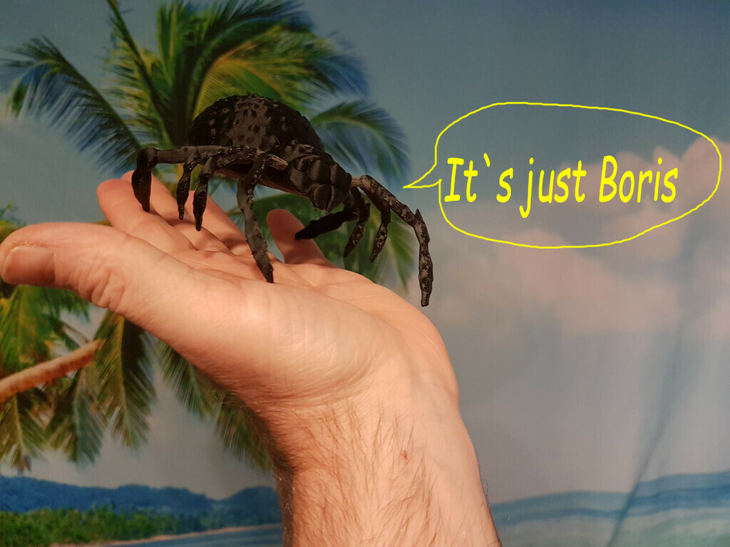 Free 3D file Spider ( BORIS THE HORRIBLE ) 🕷️ ・3D printer model to download・Cults