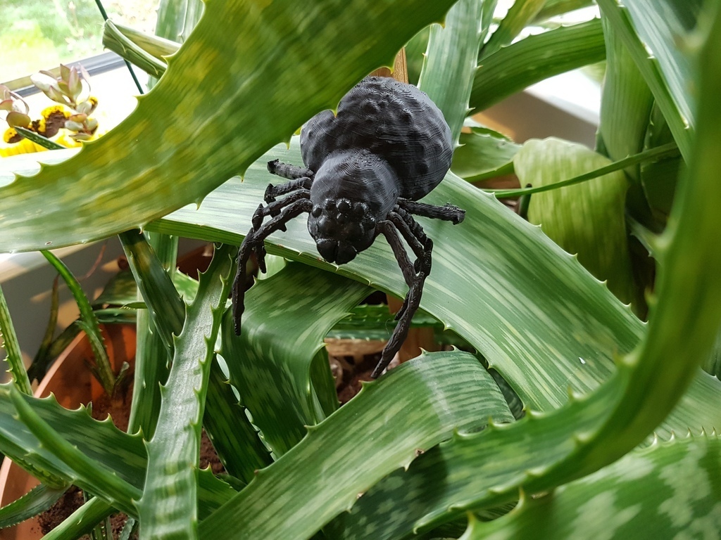 Free 3D file Spider ( BORIS THE HORRIBLE ) 🕷️ ・3D printer model to ...