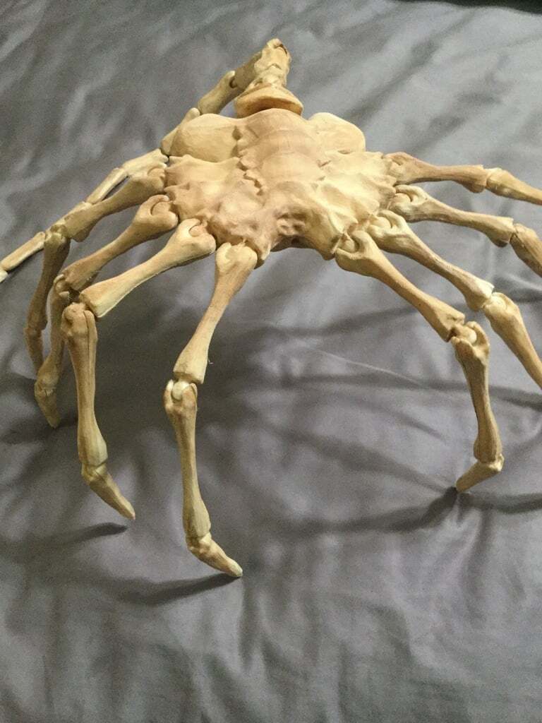 3D printing Agisis Ultimate Alien Face Hugger (40in x 23in - LIFE SIZE ...