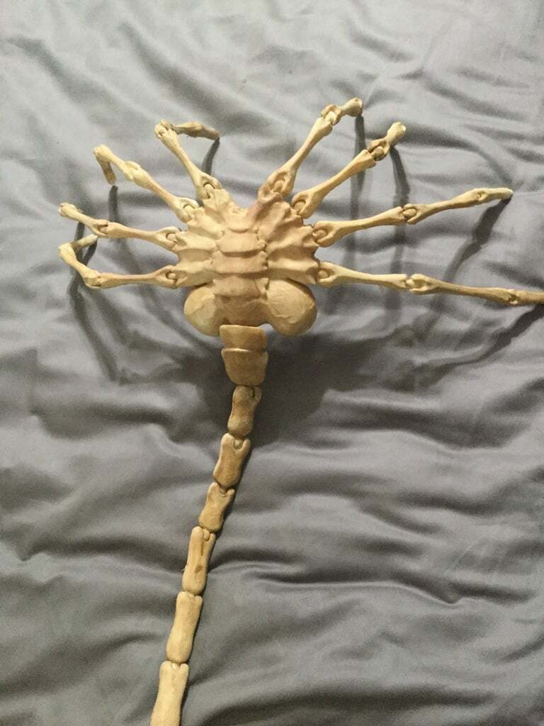 3D printing Agisis Ultimate Alien Face Hugger (40in x 23in - LIFE SIZE ...