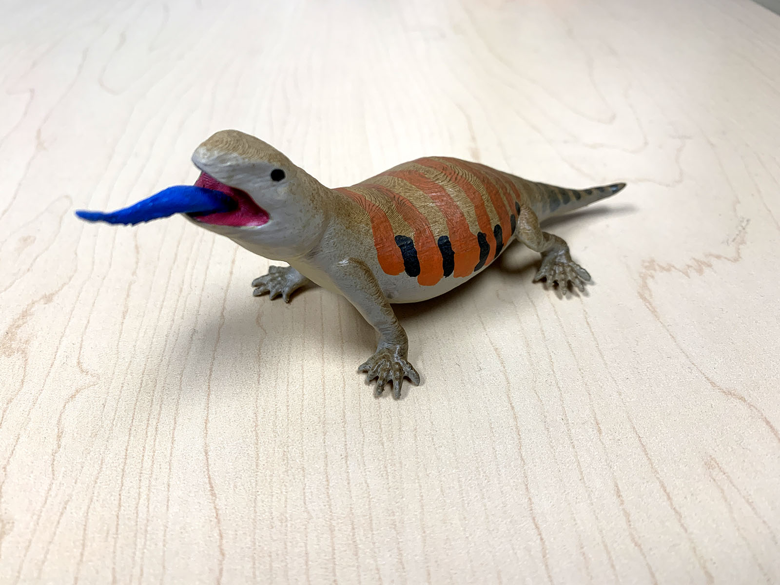 🦎 Blue Tongued Skink・Free STL File for ・Cults