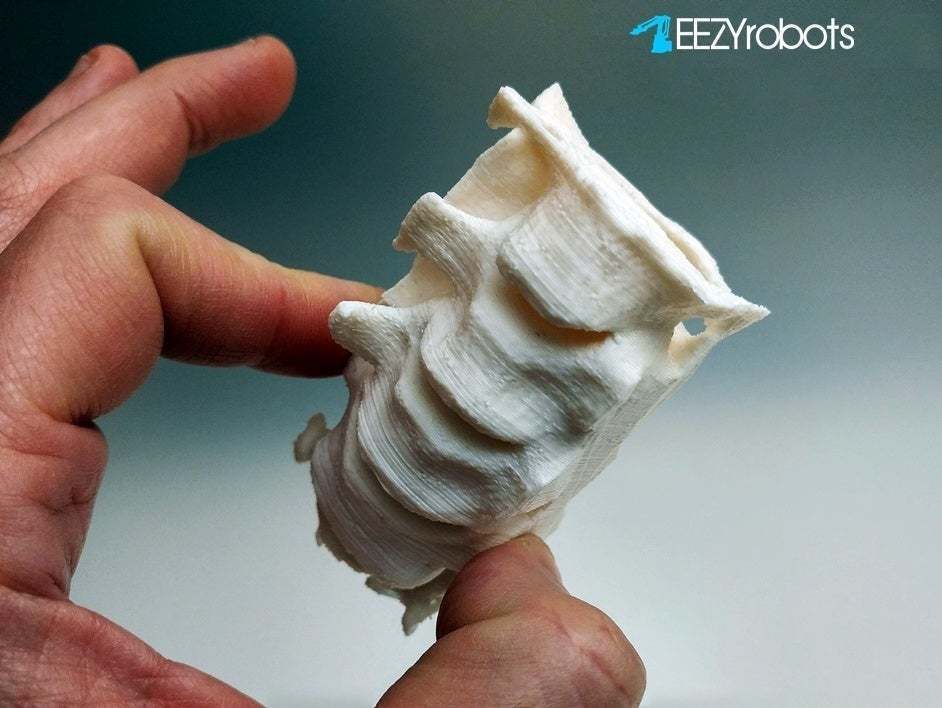 🩻 3D printed Cervical Spine・Free STL File for ・Cults