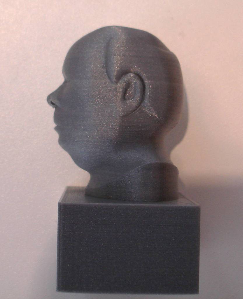 Free STL file PlaneModeling of a friends Head 🗿・Template to download ...