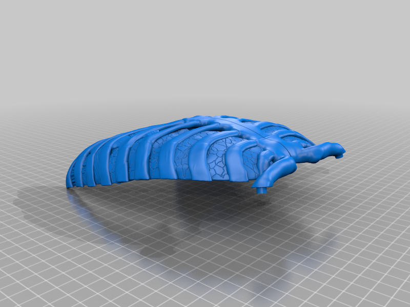 Free 3D file Anatomie de Capitaine Jonathan Archer 🏫・3D printing idea ...