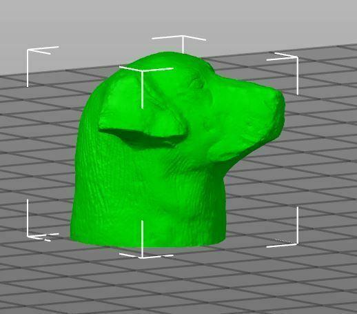 Free 3D file DOG HEAD 🐕 ・3D printing template to download・Cults