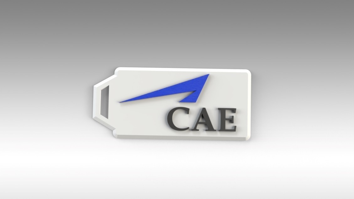 Free STL file CAE KEYCHAIN 🗝️ ・Design to download and 3D print・Cults