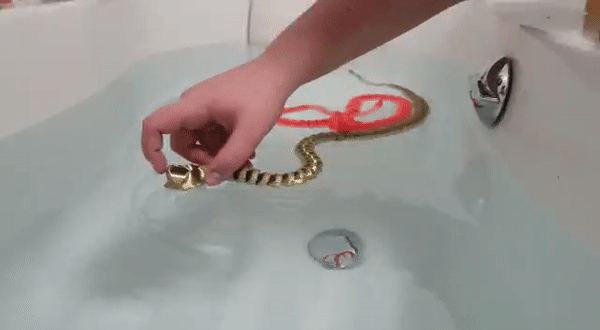 STL file Ultra Cute Snake articulated - 75cm - flexible Print-in-Place ...