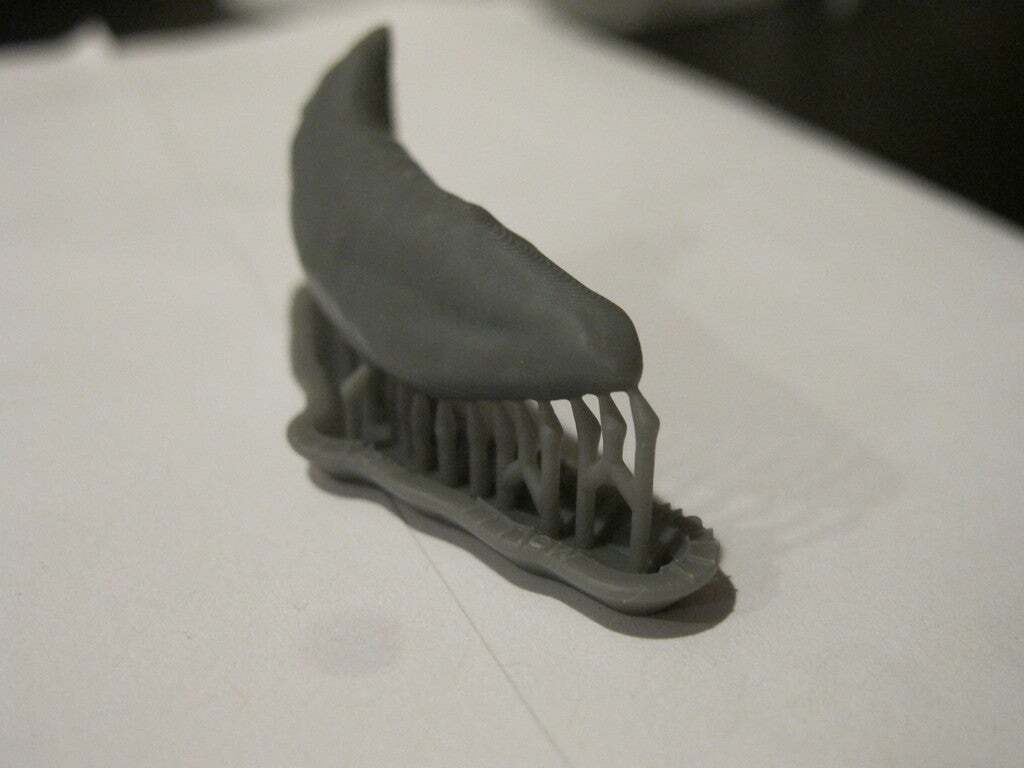Free STL file wolf tooth (scanned and printed) 🐺 ・3D printing template ...