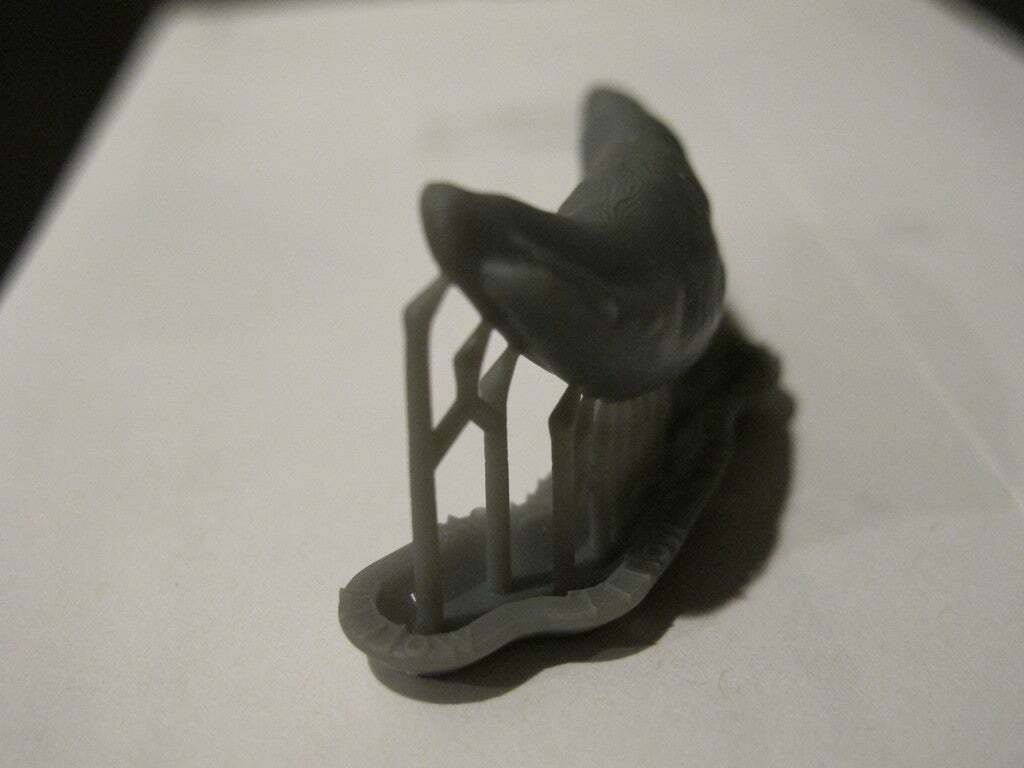 Free STL file wolf tooth (scanned and printed) 🐺 ・3D printing template ...