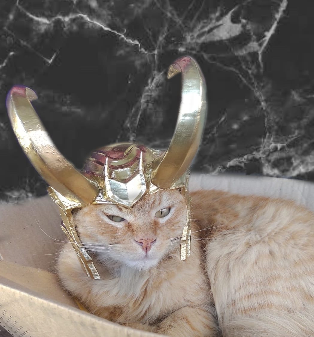 LOKI CAT - Helmet imprimible en 3D・Cults