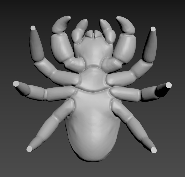 3D file Cute Spider 🕷️ ・3D printer design to download・Cults