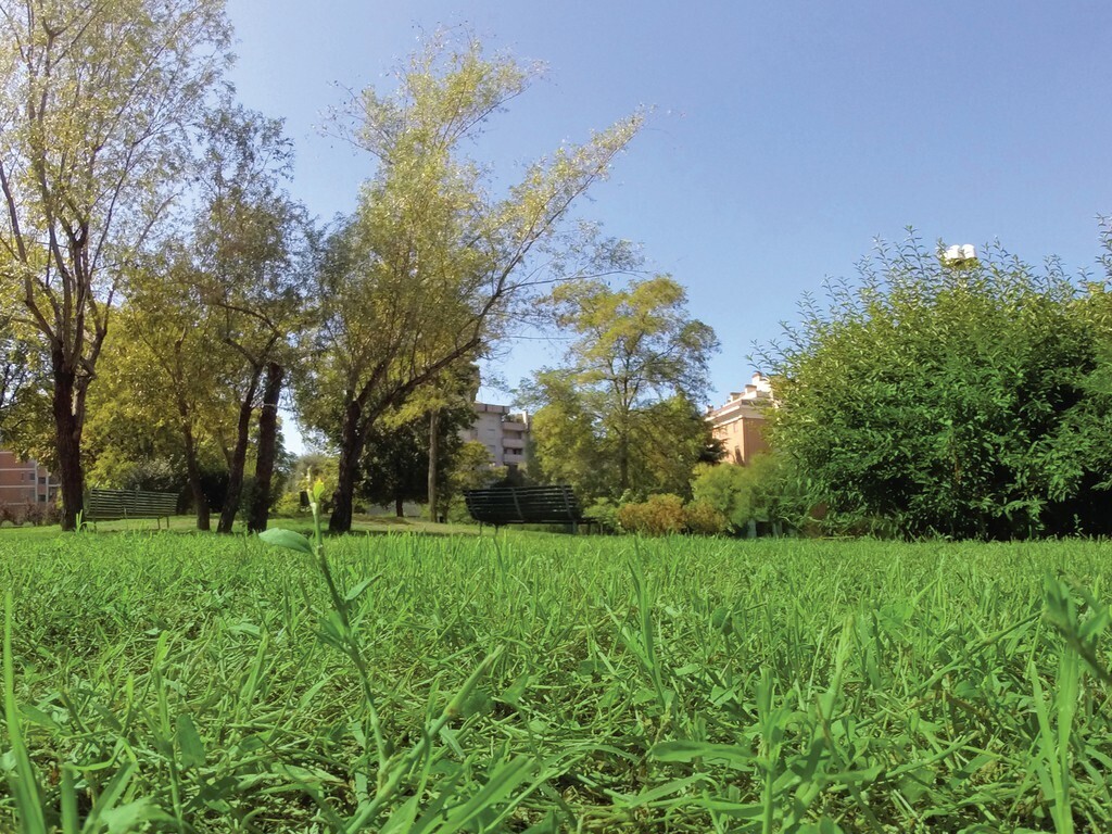 Free STL file GoPro Ground Spike 📷 ・3D print design to download・Cults