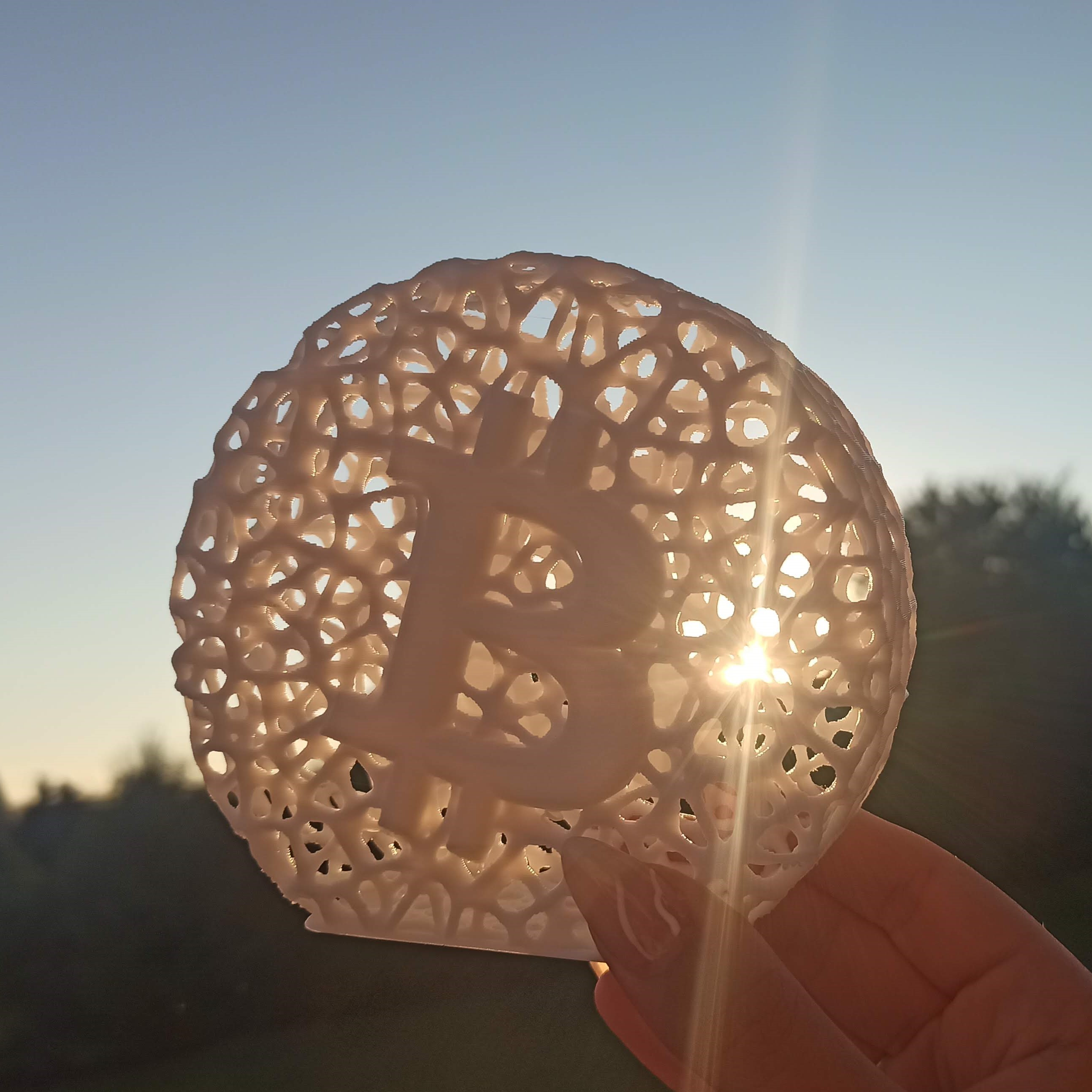 📦 Bitcoin money-box・ STL File for ・Cults