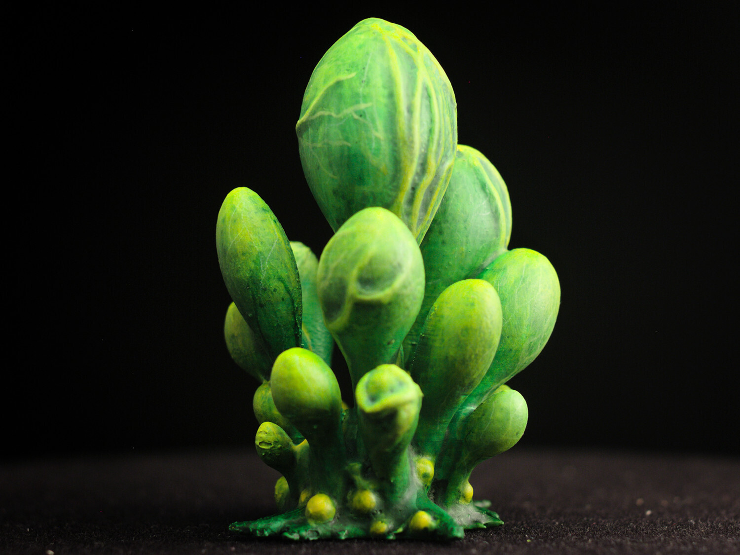 🎲 Tabletop plant: "Blob Crowd Plant" (Alien Vegetation 15)・Free STL ...