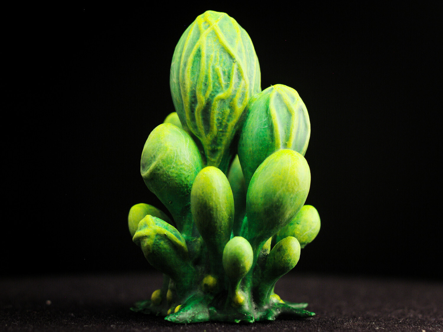 🎲 Tabletop plant: "Blob Crowd Plant" (Alien Vegetation 15)・Free STL ...