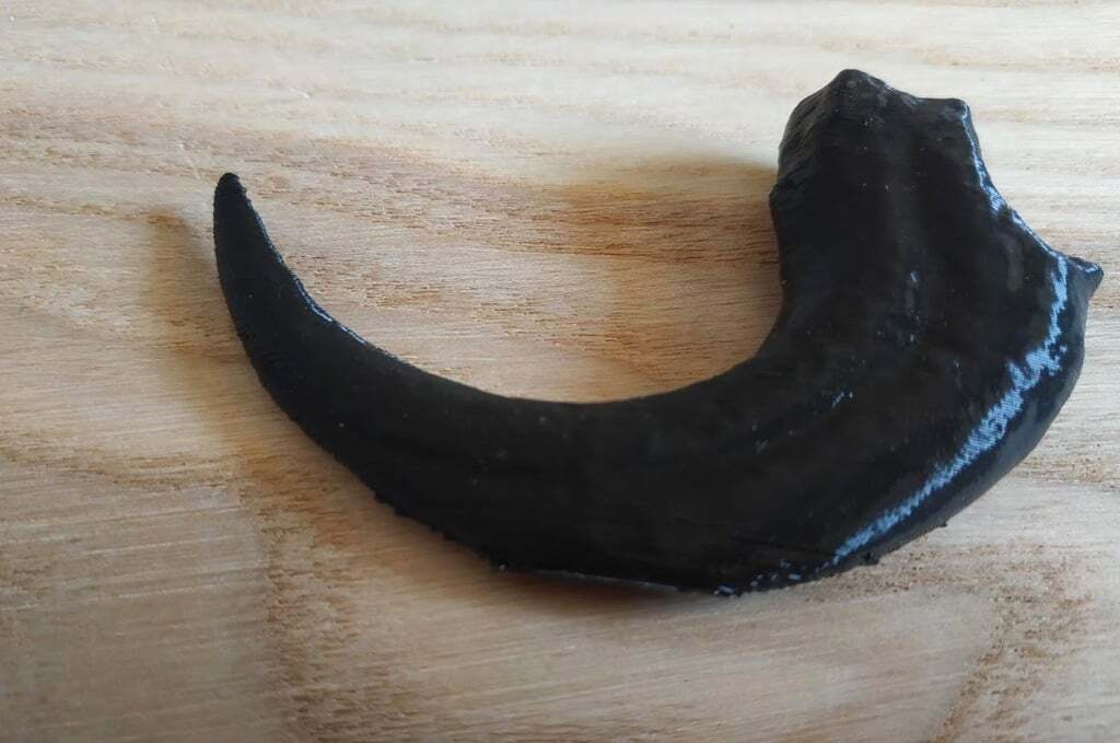 3D print Velociraptor dinosaur claw・Cults