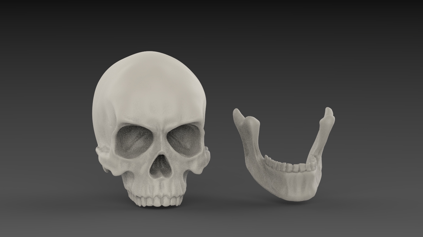 STL file Classic Skull 💀 ・Design to download and 3D print・Cults