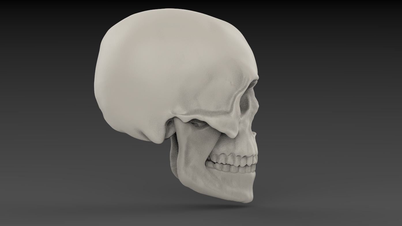 STL file Classic Skull 💀 ・Design to download and 3D print・Cults