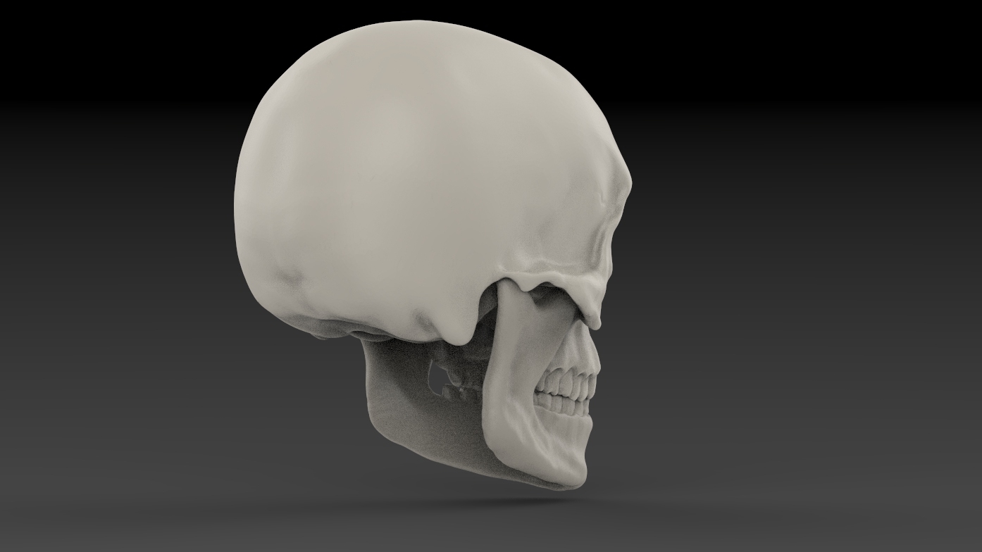 STL file Classic Skull 💀 ・Design to download and 3D print・Cults