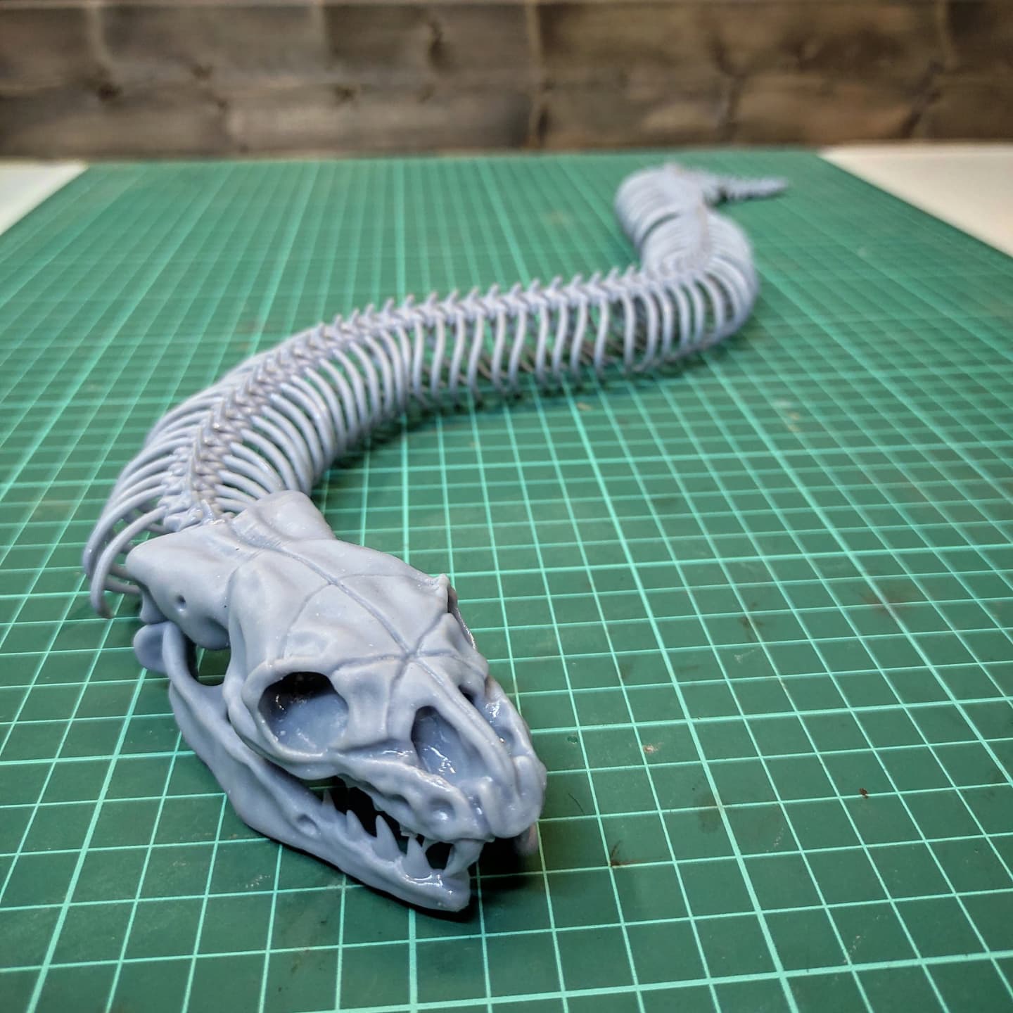 3D printable Snake skeleton • made with Anycubic Photon・Cults