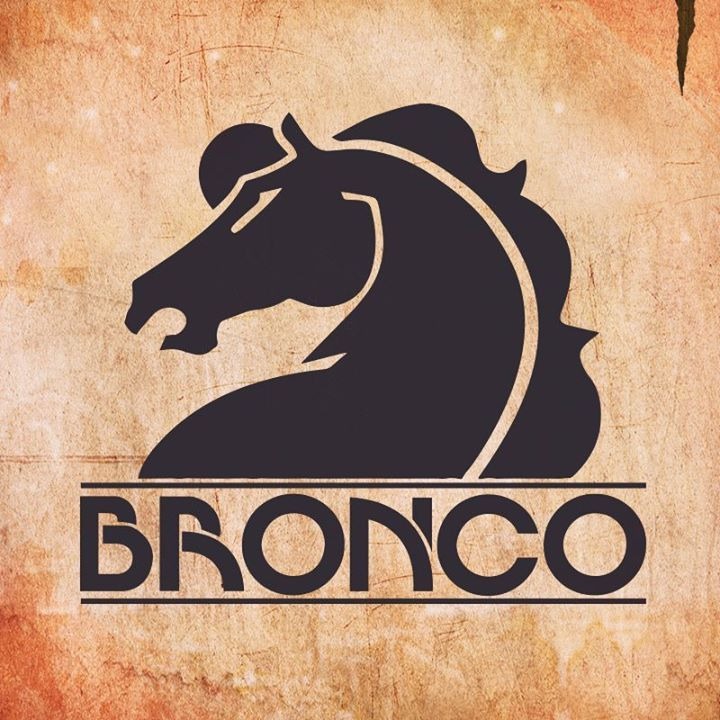 Free STL file Bronco Horse - Horse 🐎・3D printing design to download・Cults