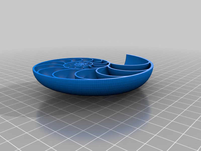 Free 3D file Nautilus Shell Cross Section 🐚・3D print model to download ...