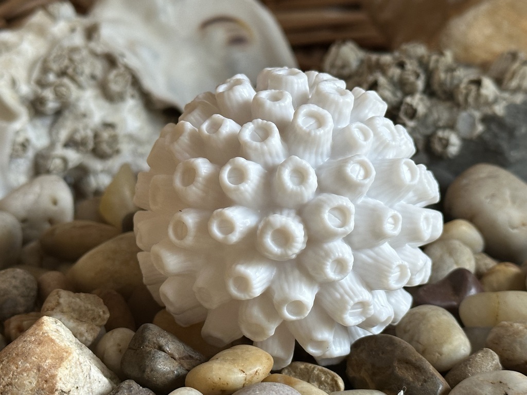 Free 3D file Barnacle Ball 🌊・3D printer model to download・Cults
