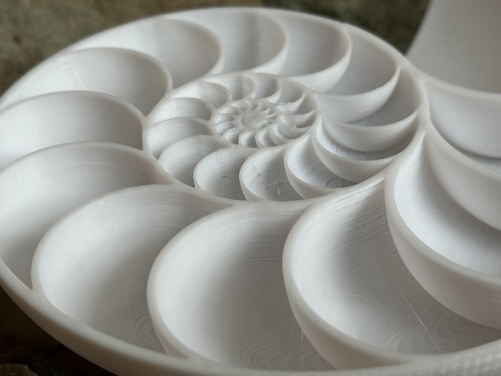 Free 3D file Nautilus Shell Cross Section 🐚・3D print model to download ...