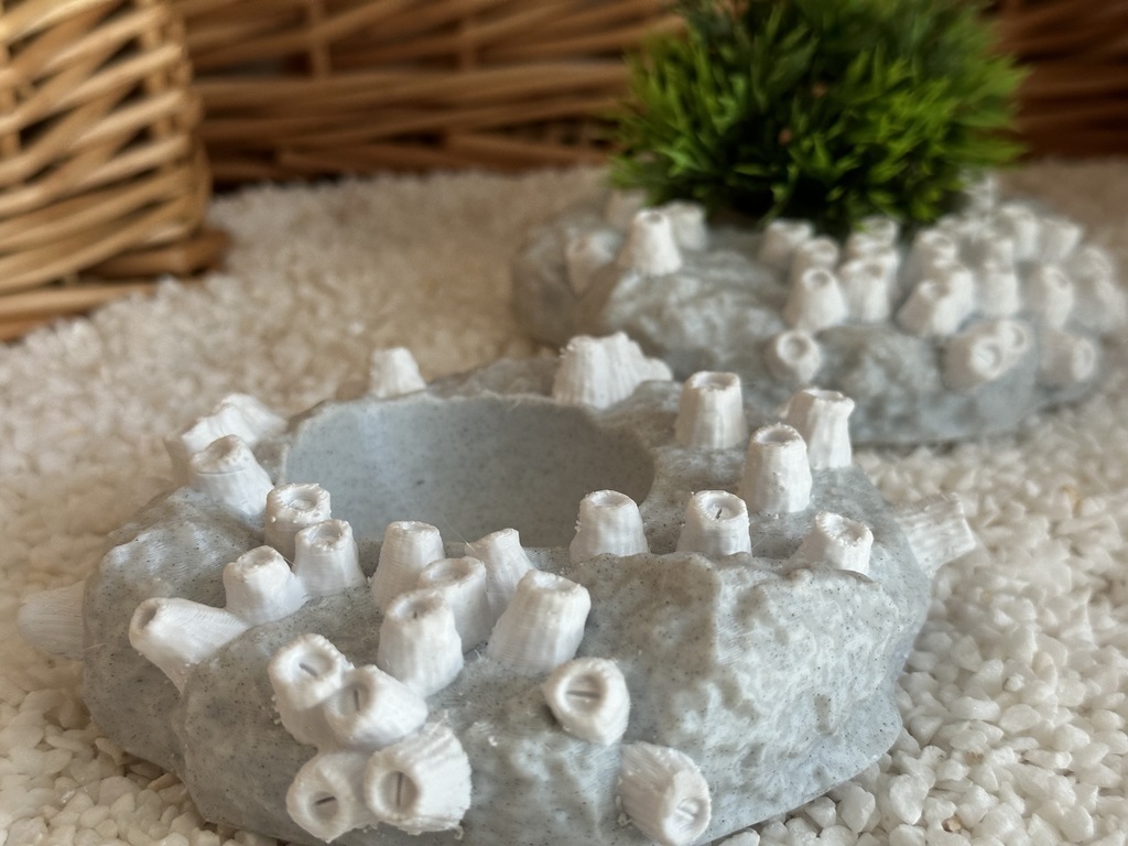 Free 3D file Mini Barnacle Bowl 🥣・3D printer design to download・Cults