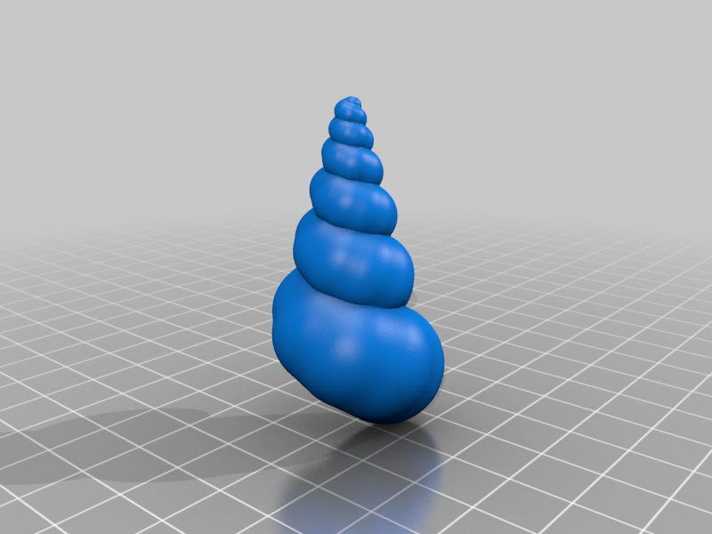 Free 3D file Turritellid Seashell 📐・Design to download and 3D print・Cults