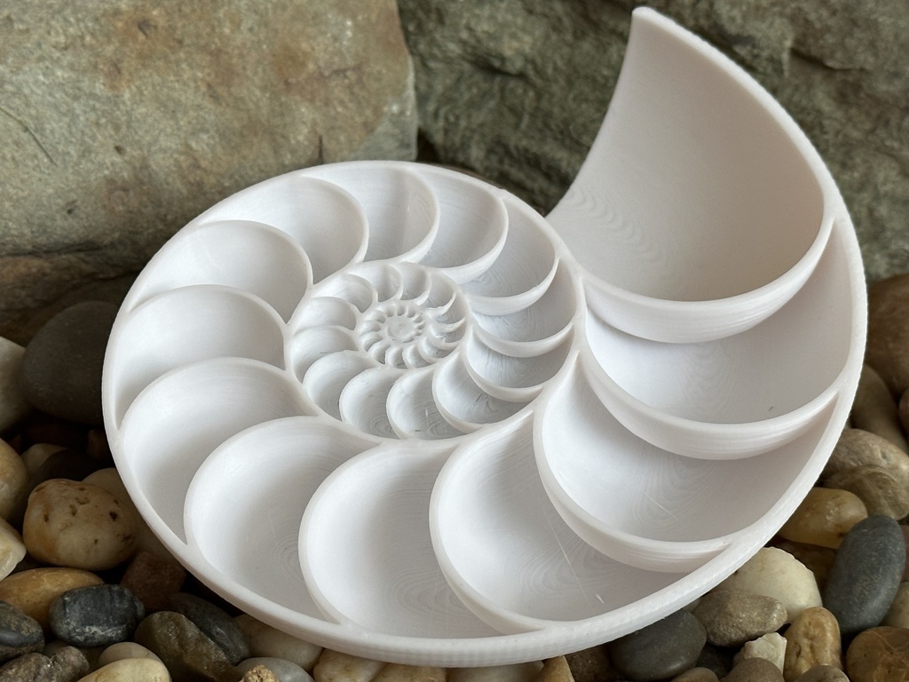 Free 3D file Nautilus Shell Cross Section 🐚・3D print model to download ...