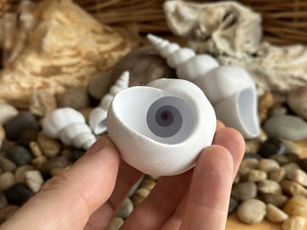 Free 3D file Turritellid Seashell 📐・Design to download and 3D print・Cults