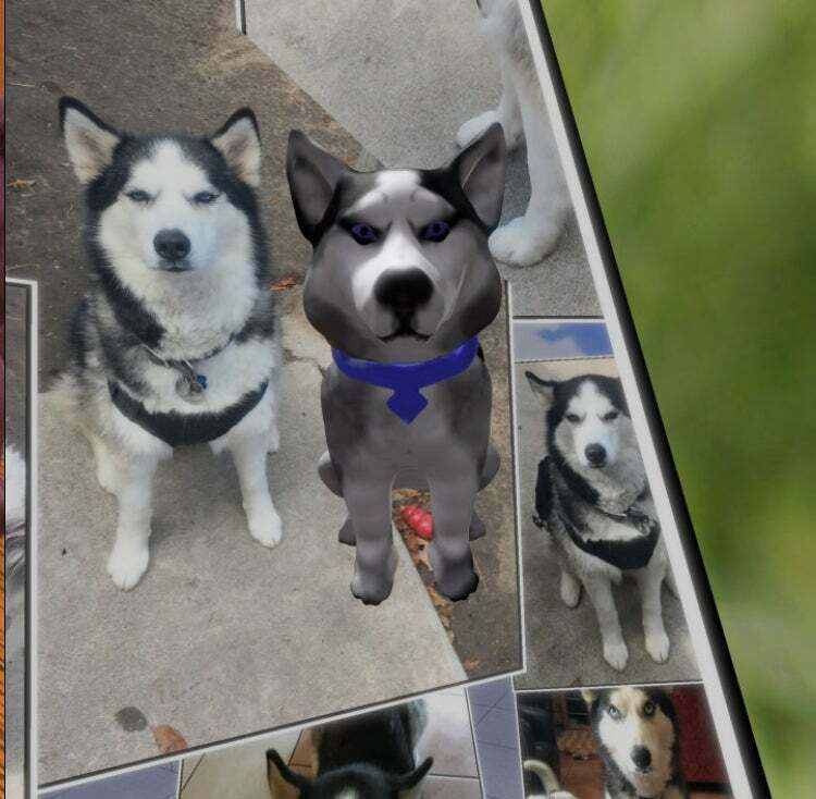 🐕 Husky sitting at attention・Free OBJ File for ・Cults